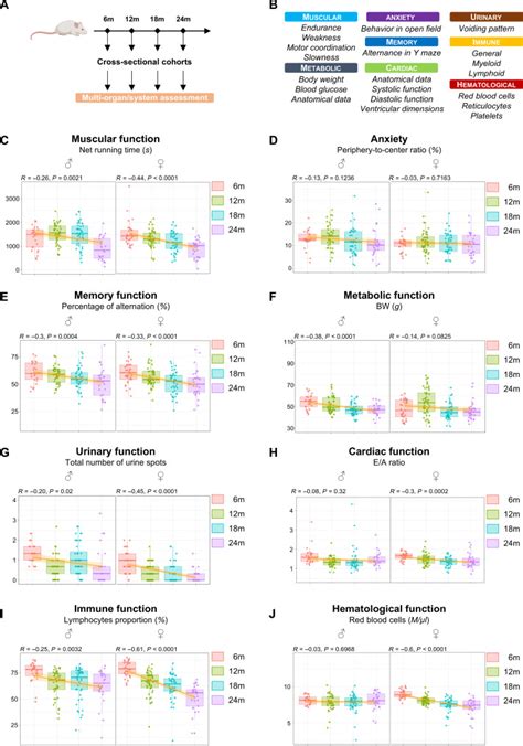 Computational And Digital Analyses In The Inspire Mouse Cohort To