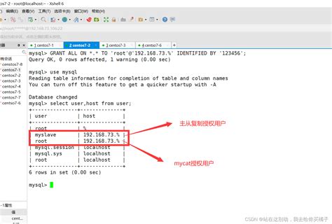 mysql读写分离之mycat的运用 mycat重启 csdn博客