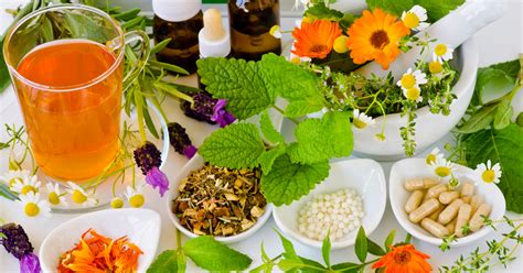 Herbal Preparations Lợi Ích Công Dụng Và Cách Chọn Lựa Chế Phẩm Thảo Dược