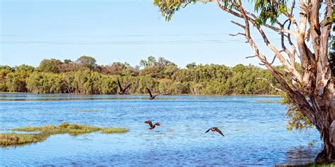 Ecosistemas De Colombia Colombia Verde