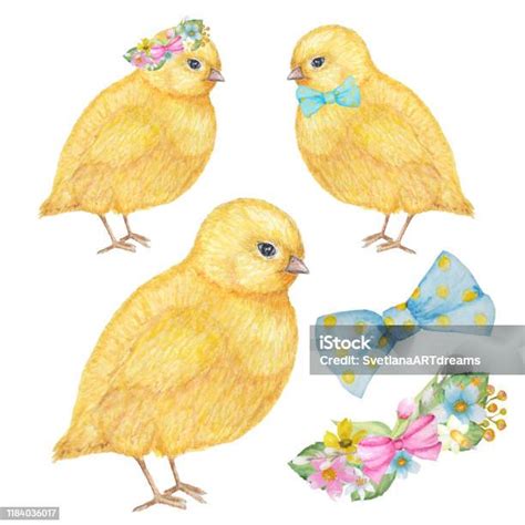 수채화 핸드 그린 옐로우 치켄 흰색 배경에 다채로운 부활절 새입니다 귀여운 휴일 일러스트와 치켄스 아기 초대 포스터 카드 배너디자인에 대한 요소입니다 가금류에 대한 스톡