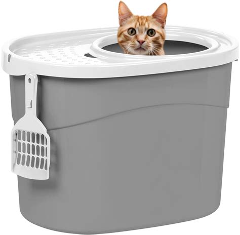 Pros And Cons Of Top Entry Litter Boxes Tuft Paw
