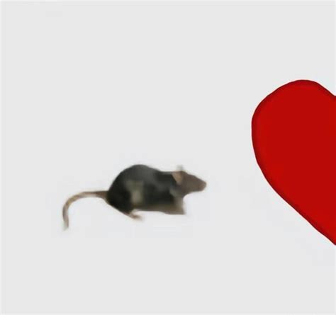 710 Cringe Matching Pfp Ideas In 2025 Matching Profile Pictures Cute
