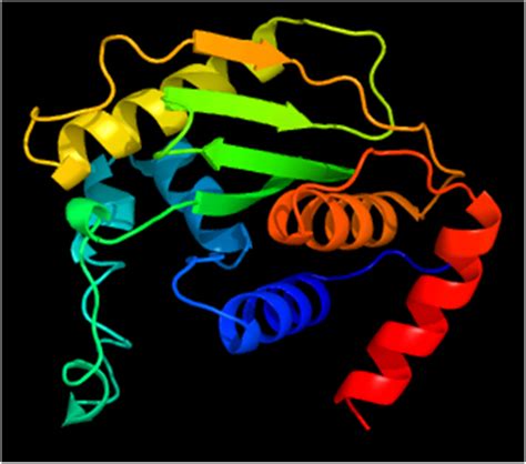 Tertiary Structure Of Monkeypox Cysteinine Proteinase Download