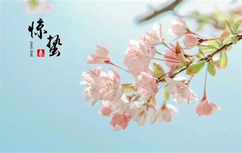 廿四節氣之三 驚蟄 每日頭條