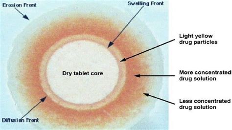 Solvent Diffusion And Chemically Controlled Drug Release System