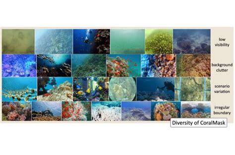 Coral Reef Segmentation Prototypes For Humanity