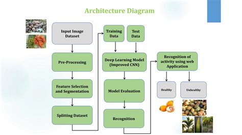 Updated Review2 An Improved Convolutional Neural Network Model For Detection Pptx Gardening