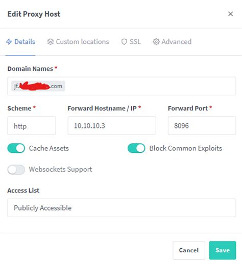 Using Nginx Proxy Manager To Reverse Proxy From Vps To Homelab Via