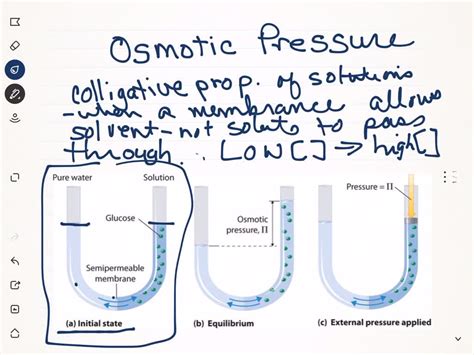 SOLVED What Does It Mean When We Say That The Osmotic Pressure Of A Sample Of Seawater Is 25 Atm