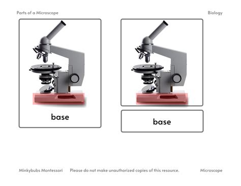 Microscope Base