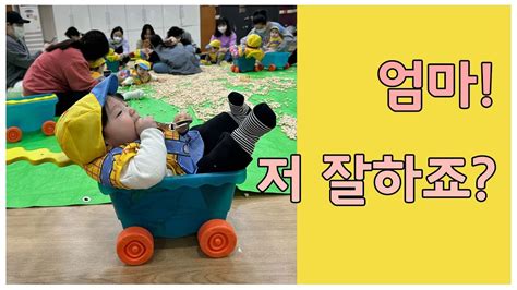 생후 8개월 아기의 문화센터 첫 체험과 대형견과 함께하는 일상 Youtube