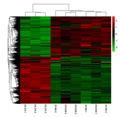基因测序热图怎么看 高通量测序热图怎么看 基因测序图 第14页 大山谷图库