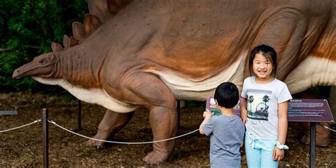 Cranbrook Institute Of Science