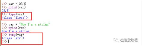 趣学python第五课可爱的变量 少儿编程