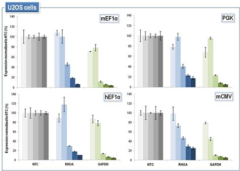 Short Hairpin Rna Shrna