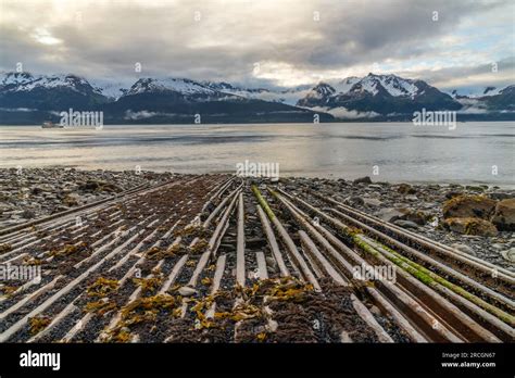 Worn And Rusted Rail Sections Of Old Railway Tracks Laid On A Rocky Shore Partially Covered With