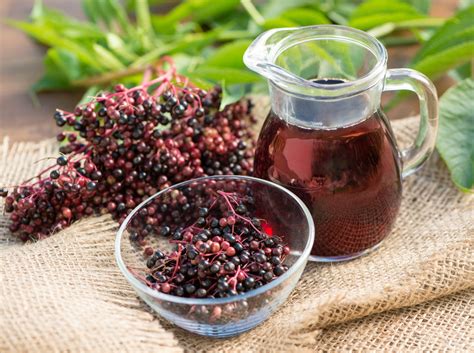 Amla Beere Für Die Abwehrkraft Immunsystem Unterstützen