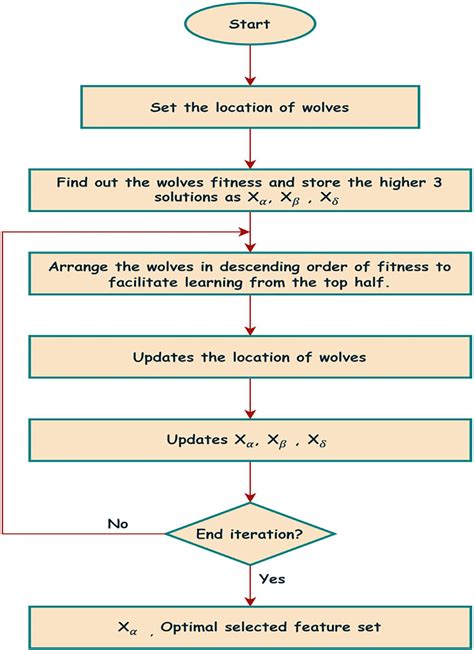 Gray Wolf Optimization Algorithm Download Scientific Diagram