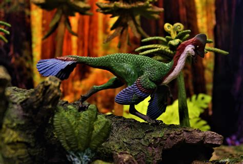 Anzu Wyliei By Zoome3 On Deviantart