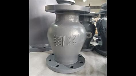API D Axial Check Valve ASTM A WCB DN PN Vervo