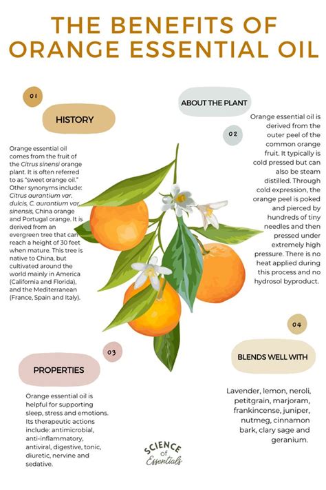 7 Benefits Of Orange Essential Oil
