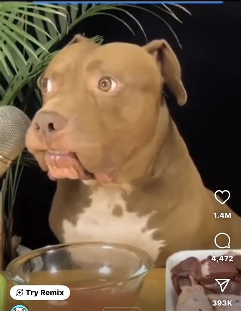 Some Reassuring Comments On A Public Page That Featured A Whale Eyed