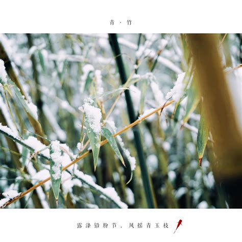 2023丰庆公园游玩攻略 我独自一人在家对面的公园 去哪儿攻略