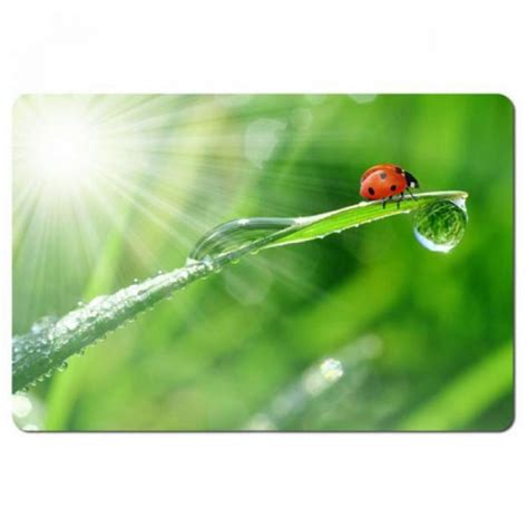 Коврик для ведмедика Esperanza Ea133 низькі ціни кредит оплата частинами в інтернет магазині