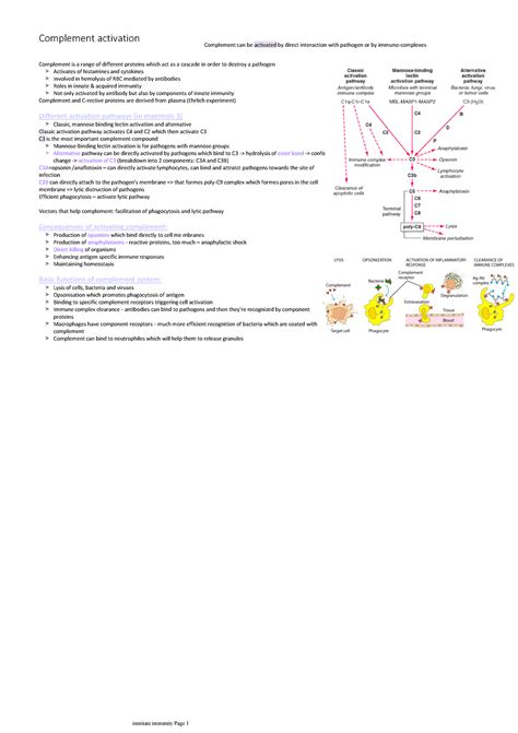 Complement Activation Complement Is A Range Of Different Proteins Which Act As A Cascade In