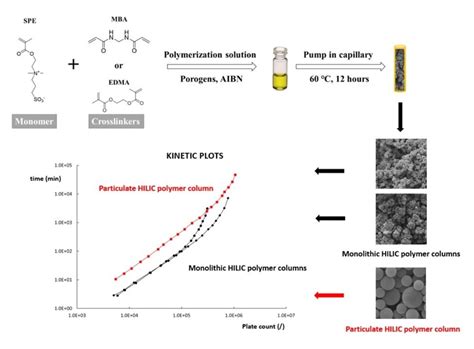 Column Chromatography Hydrophilic Interaction At Tammy Hodges Blog