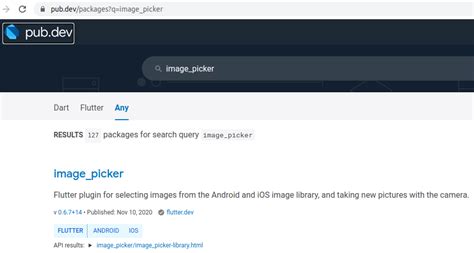 Access Camera In Flutter Baraja Coding