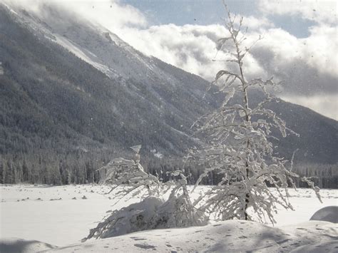 Friends Of Bumping Lake Photos