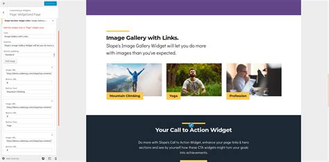 working with custom section widgets codestag