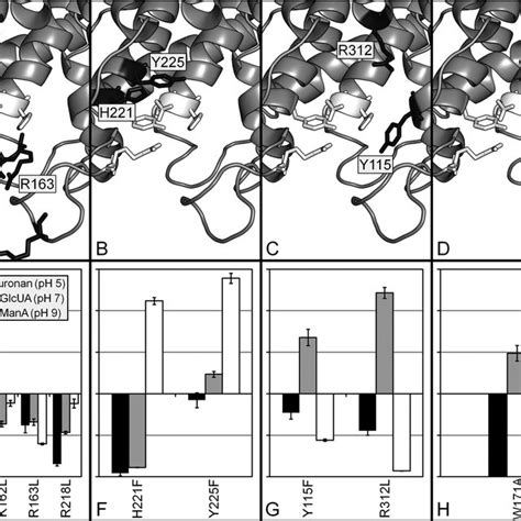 Identification Of Putative Substrate Binding Residues In Smlt1473 A