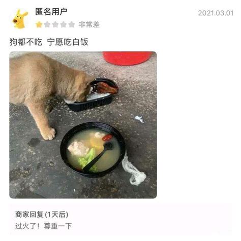 狗也需要尊重 梗圖板 Dcard