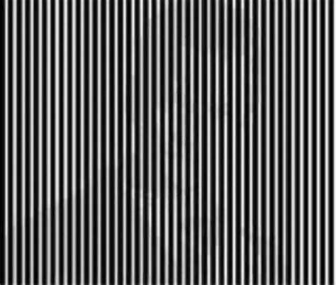 범죄추리 퀴즈 파티에 참석한 4명의 용의자 중 진짜 범인은 과연 누구일까요 퀴즈에브리띵