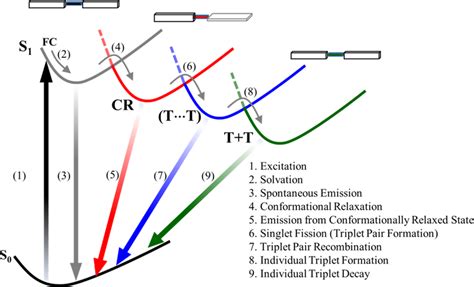 Scheme 2 Proposed Excited Relaxation Dynamics In Pentacene Dimers Download Scientific Diagram