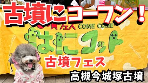絶叫奇祭世界初で最大級の古墳フェスで愛犬と初めての体験に大興奮ゆるキャラも高槻 今城塚古墳 YouTube