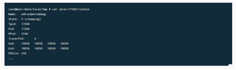 Tricks Anti Debug Anti Proxy B4x Programming Forum
