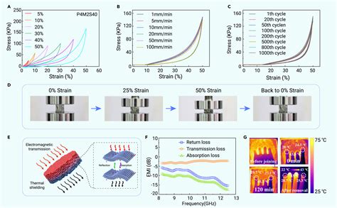 A Multifunctional Flexible Sensor Based On Pi Mxenesrtio 3 Hybrid Aerogel For Tactile Perception