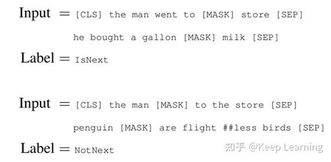 Bert模型系列大全解读 知乎