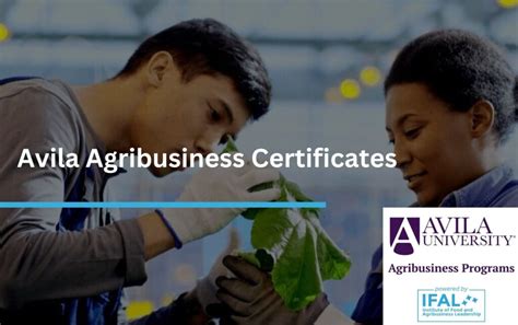 Agribusiness Management Essential Strategies For Sustainable Success