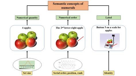 Ibe — Science Of Learning Portal — The Understanding Of Numerical Order And Its Role In The