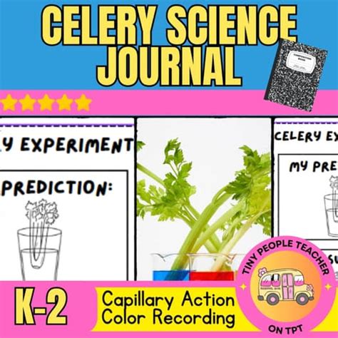 Celery Experiment Science Journal Hypothesis And Results Stem Lab Sheet