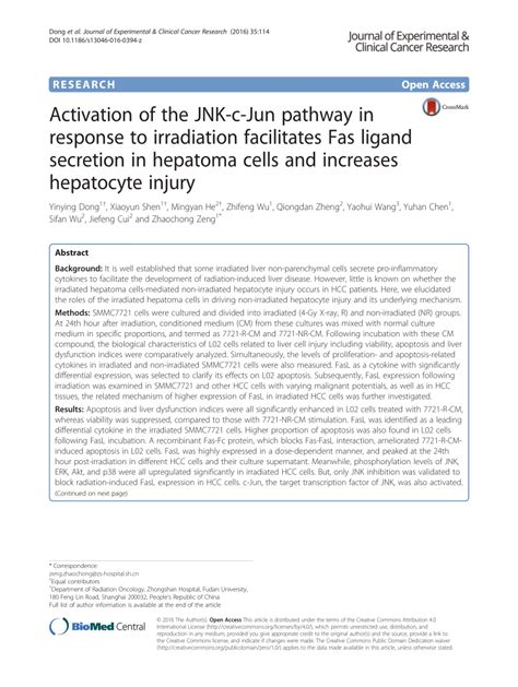 Pdf Activation Of The Jnk C Jun Pathway In Response To Irradiation Facilitates Fas Ligand