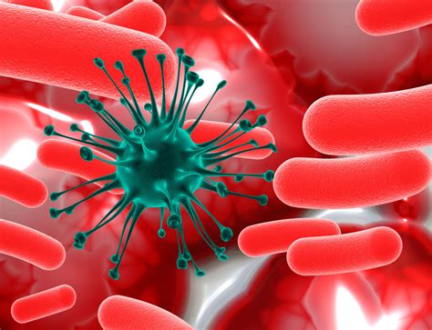 What Are Bloodborne Pathogens