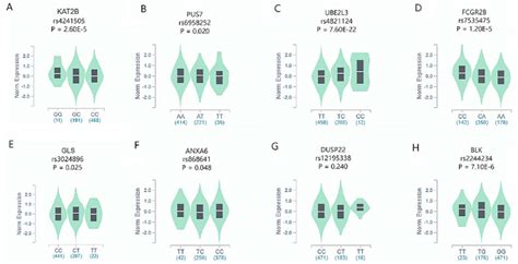 Replication Of The Eqtls In Gtex Database Eqtl Expression