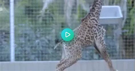 When Imgur Crashes  On Imgur