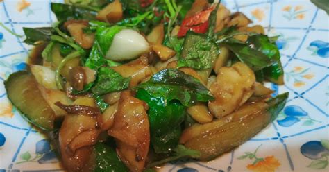 杏鮑菇 食譜、作法共1639個 全球最大料理網站 Cookpad
